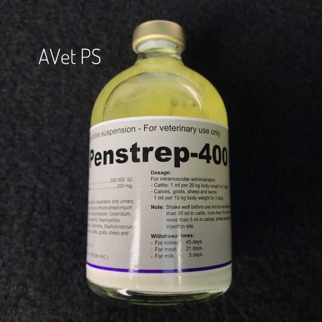 Jual PENSTREP 400 Kemasan 100 ml | Shopee Indonesia