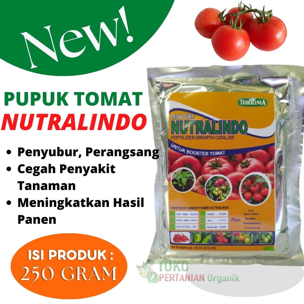 Jual Pupuk untuk tanaman tomat ceri agar buah tidak pecah, Booster ...