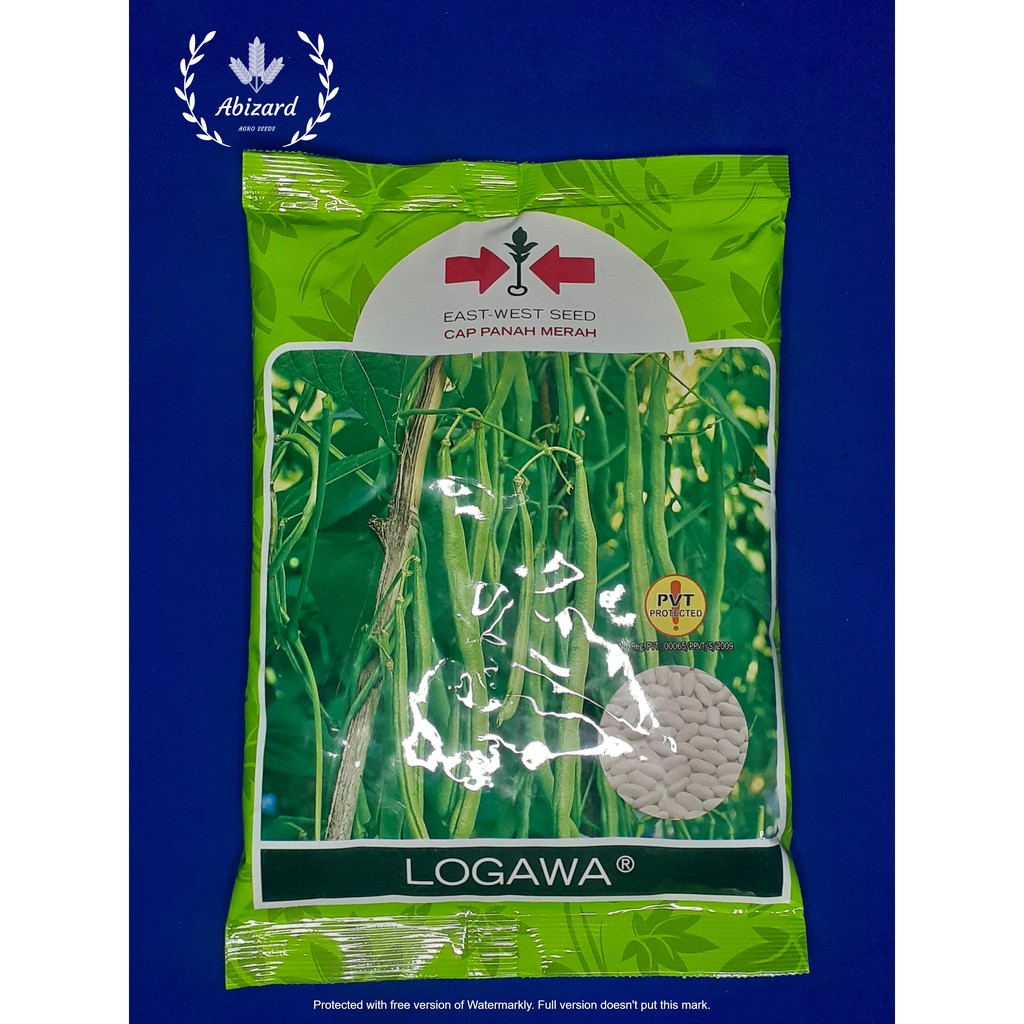 Jual Benih Bibit Kacang Buncis F1 Logawa Kemasan 500 Gr Original Pack ...