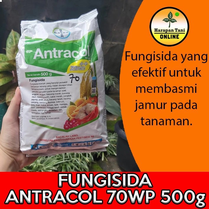Jual Antracol 70WP 500g | Antracol 70WP 250g | Fungisida | Propineb ...