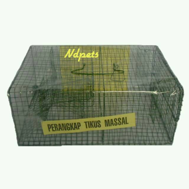 Jual Jebakan tikus masal | Shopee Indonesia