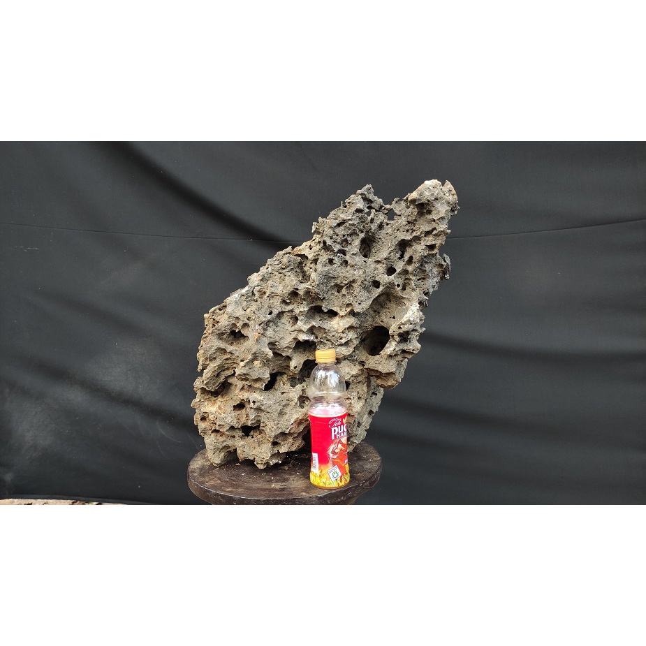 Jual BATU KARANG ALAM UNIK BERGERIGI UNTUK TANAMAN BONSAI TAMAN DAN ...