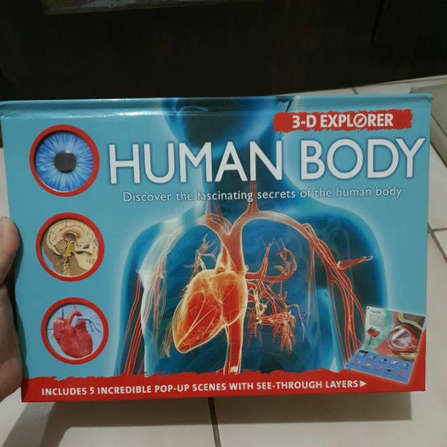 Jual BESTSELLER 3D Explorer Human Body Book | Shopee Indonesia