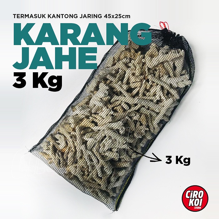Jual KARANG JAHE PH Buffer Kolam KARANG LAUT 3Kg dengan kantong jaring ...