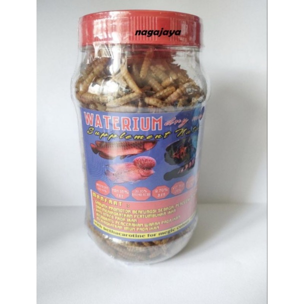 Jual magot maggot premium waterium ulat kering pakan ikan predator ...