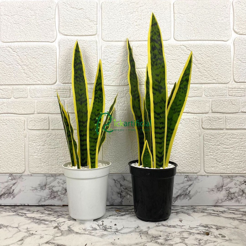 Jual Pohon Plastik Daun Lidah Mertua X5 Latex Artificial Hijau Tua Pot ...