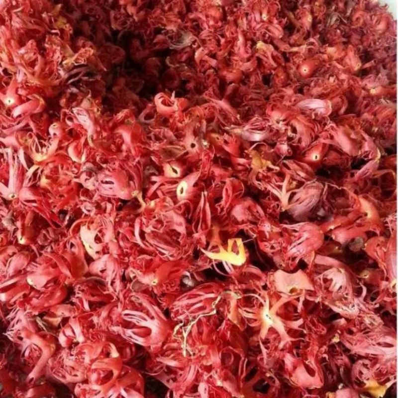 Jual Bunga pala basah 100gram/ fuli bunga pala/sempra pala basah ...