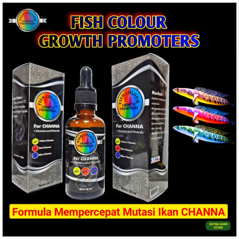 Jual OBAT MUTASI IKAN CHANNA, FISH COLOUR GROWTH PROMOTERS FOR CHANNA ...