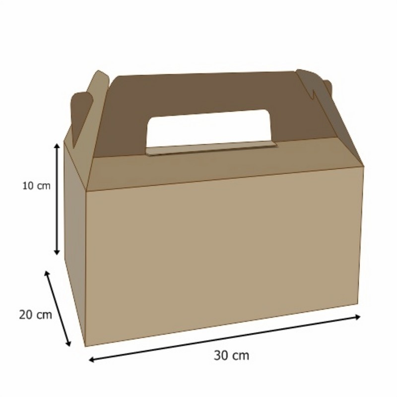 Jual Katalogkardus 30x20x10 20PCS Kotak Kardus Packaging Botol Karton ...