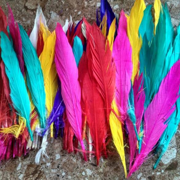 Jual Top Produk.. Bulu angsa ujung lancip isi 100 biji warna warni ...