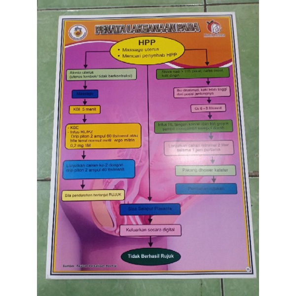 Jual (21) POSTER PENATALAKSANA PADA HPP | Shopee Indonesia