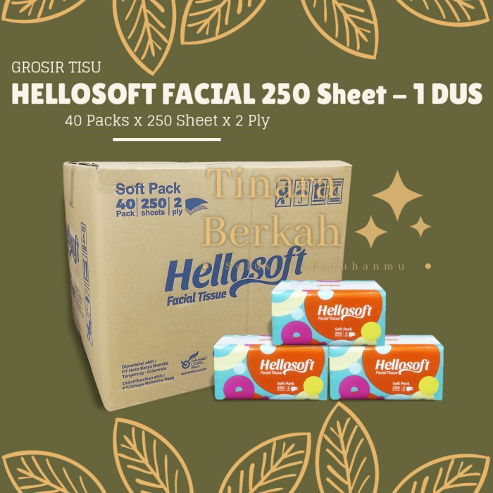 Jual Tissue HELLOSOFT Facial Softpack 250 Sheet 1 DUS KARTON 40 Pack ...