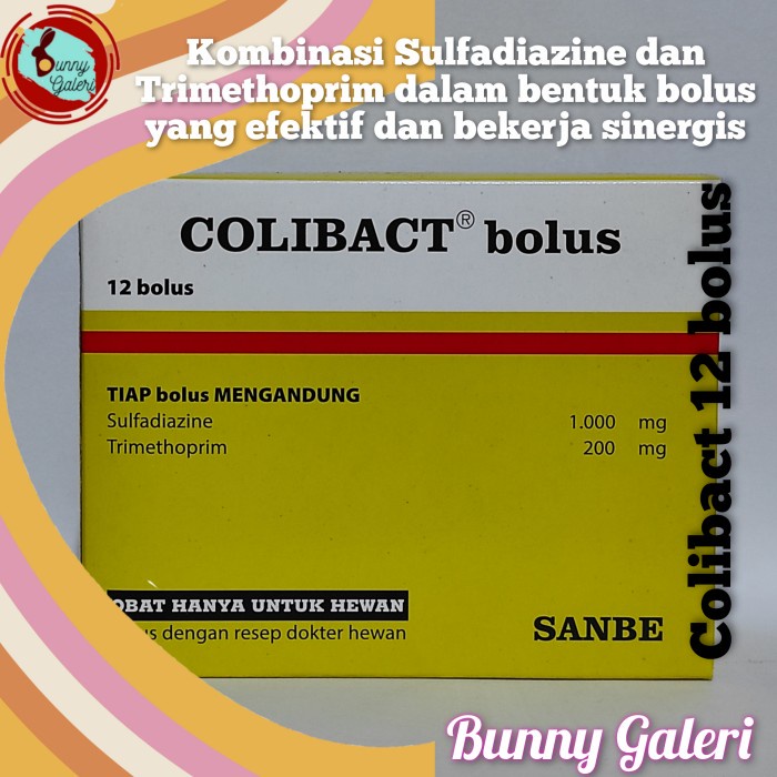 Jual Antibiotika Bolus COLIBACT BOLUS isi 12 Bolus | Shopee Indonesia