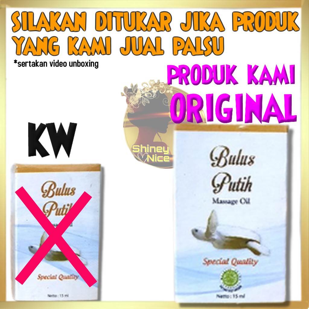 Jual PEMBESAR PAYUDARA PIJAT MASSAGE OIL MINYAK BULUS PUTIH BIOHERBAL ...