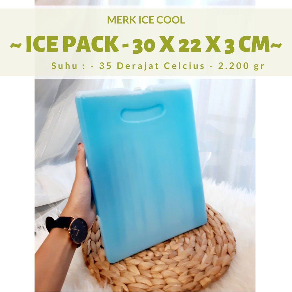 Jual PENDINGIN ES KRIM BOX MURAH / ICE PACK FROZEN FOOD / ICE JELL PACK ...