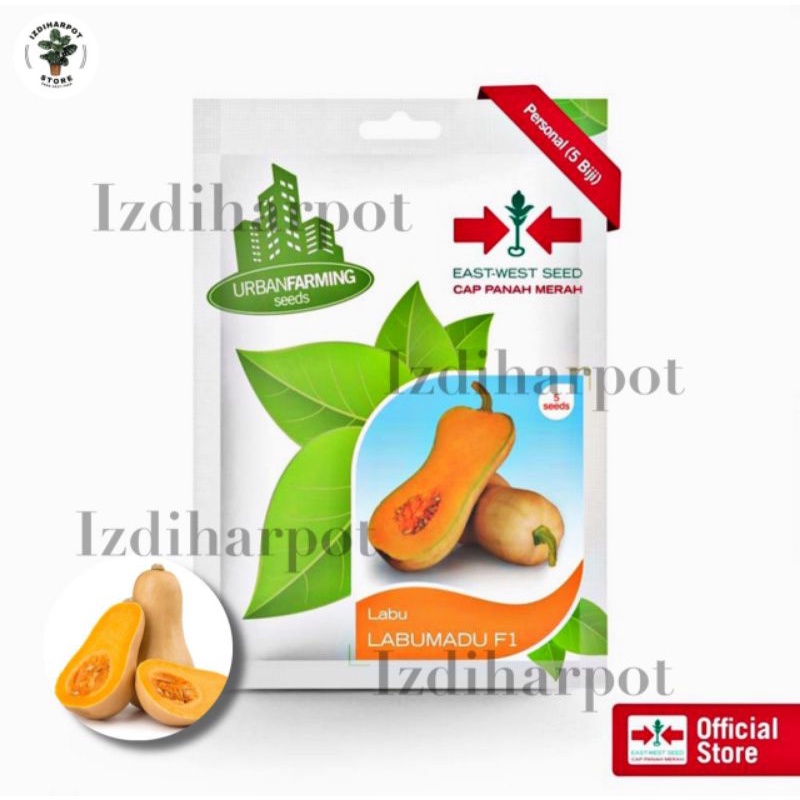 Jual benih bibit labu madu f1 cap panah merah - LABU MADU F1 | Shopee ...