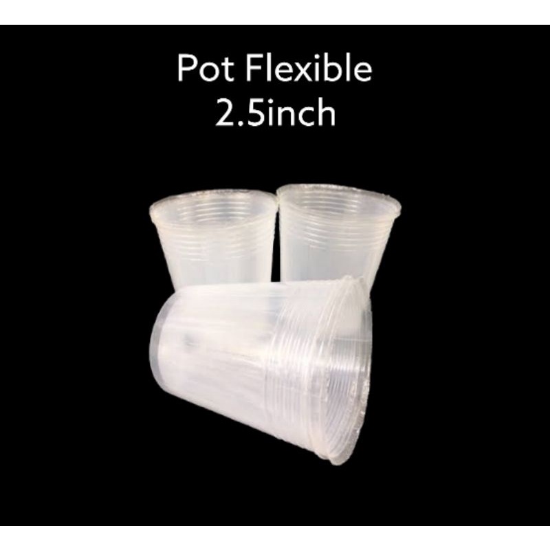 Jual 100 pcs Flexible Cup atau Softpot Anggrek Remaja 2.5 Inch | Shopee ...