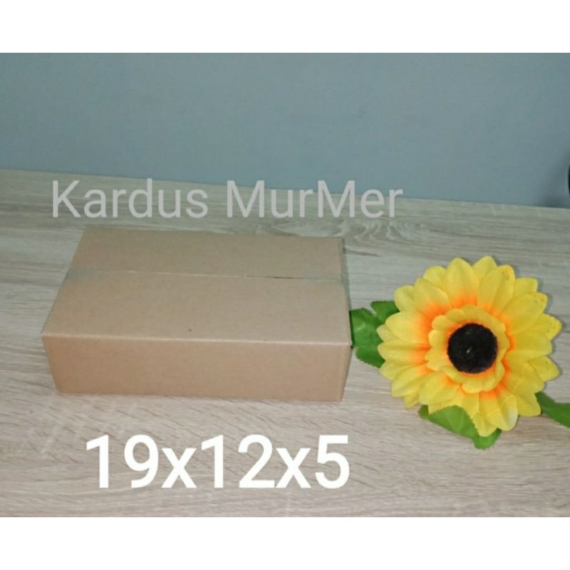 Jual Kardus kecil uk 19x12x5 cm packaging onlineshop | Shopee Indonesia