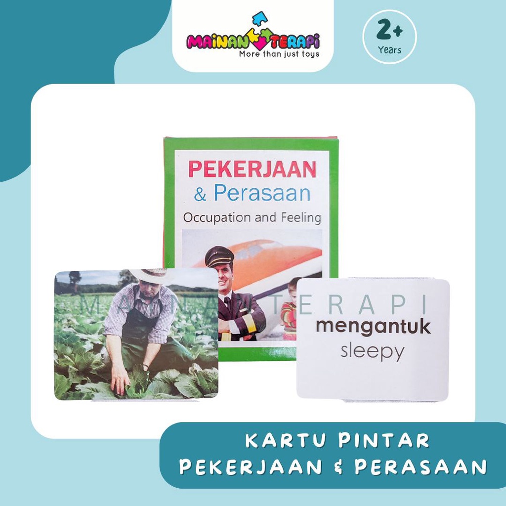 Jual Mainan Terapi Kartu Pintar Pekerjaan dan Perasaan Versi Baru ...