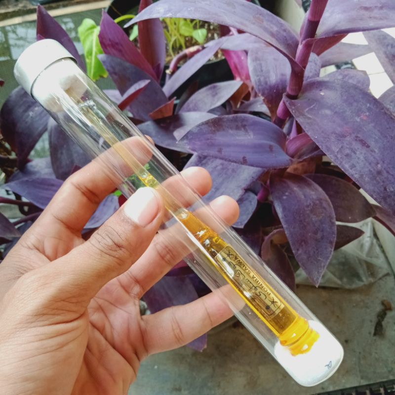 Jual MINYAK PONIBASALWA JARUM 1 RATU BALKIS | Shopee Indonesia Jual MINYAK PONIBASALWA JARUM 1 RATU BALKIS | Shopee Indonesia