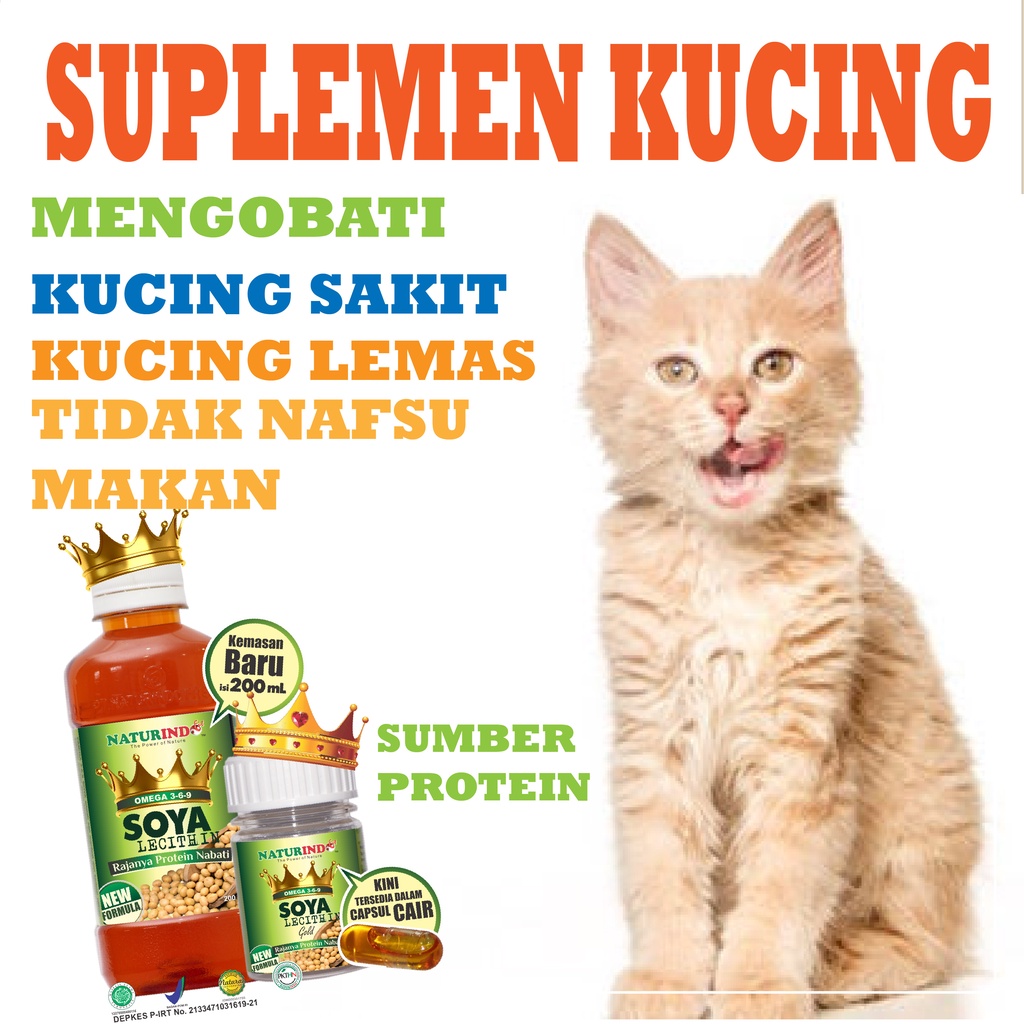Jual Suplemen Obat Kucing Sakit Lemas Tidak Nafsu Makan Pilek Protein ...