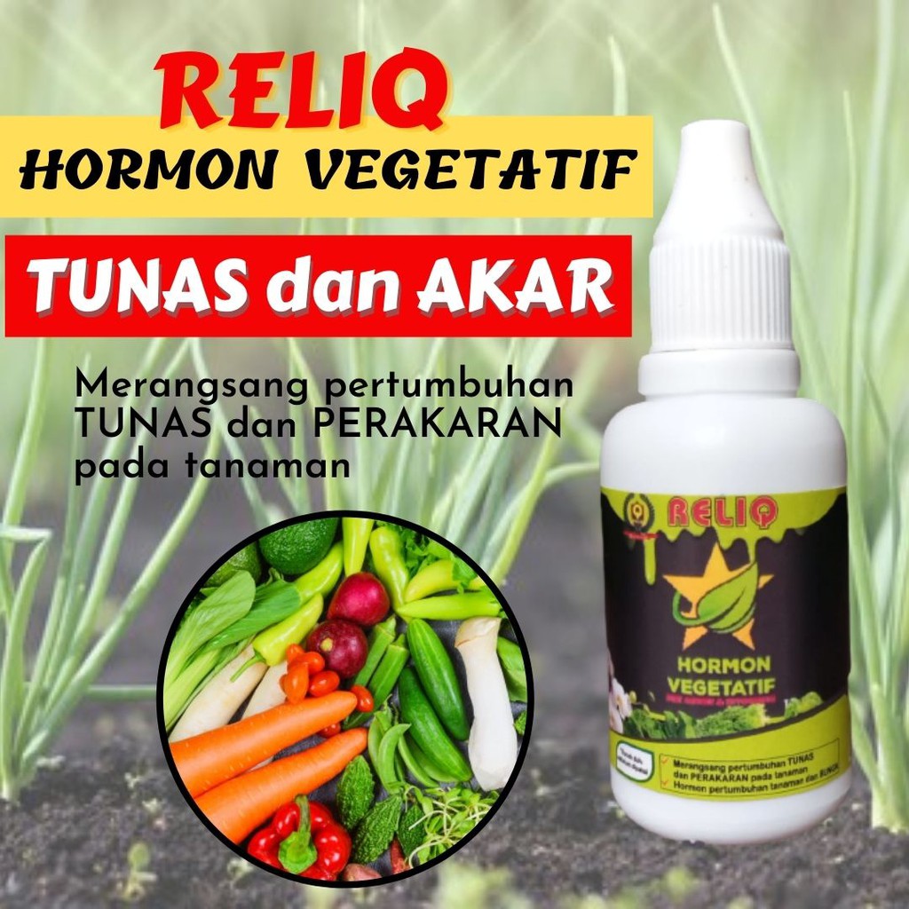 Jual RELIQ Hormon Pertumbuhan Vegetatif Tanaman, Hormon Pertumbuhan ...