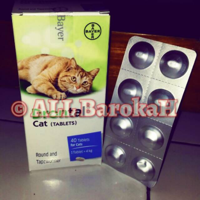 Jual Obat Cacing Kucing DRONTAL CAT original Jerman ( Ecer/Tablet ...