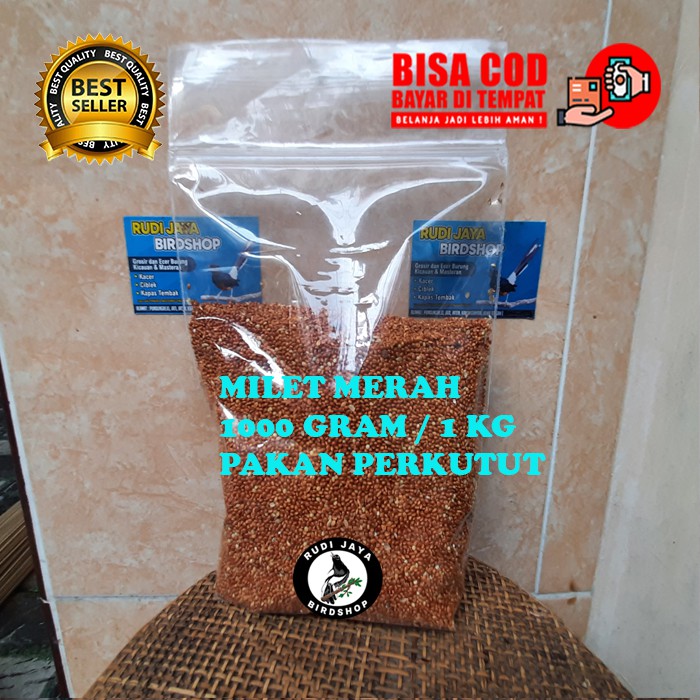 Jual BIJI MILET MERAH 1 KG BIJI MILLET PAKAN MAKANAN BURUNG PERKUTUT ...