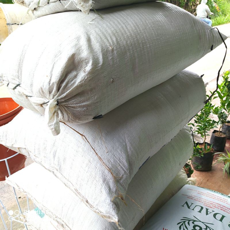 Jual sekam mentah/kulit padi untuk media tanaman 1 karung besar ...