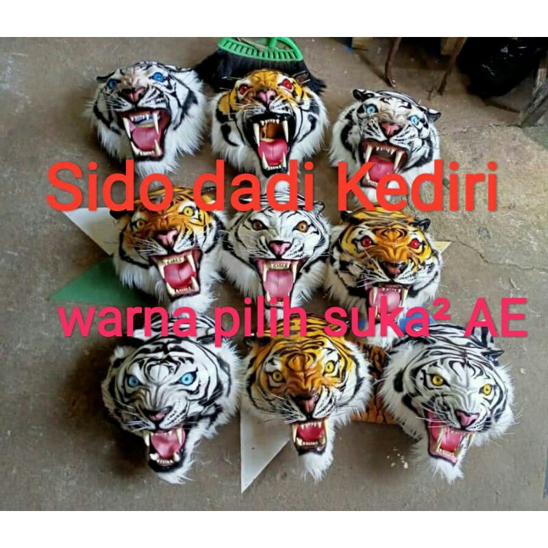 Jual TOPENG HARIMAU CAN MACAN MACANAN COR KUAT MATA RESIN BARONGAN ...