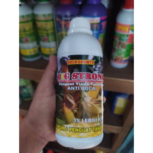 Jual BIG STRONG 500 ml pupuk anti bulai pada jagung | Shopee Indonesia