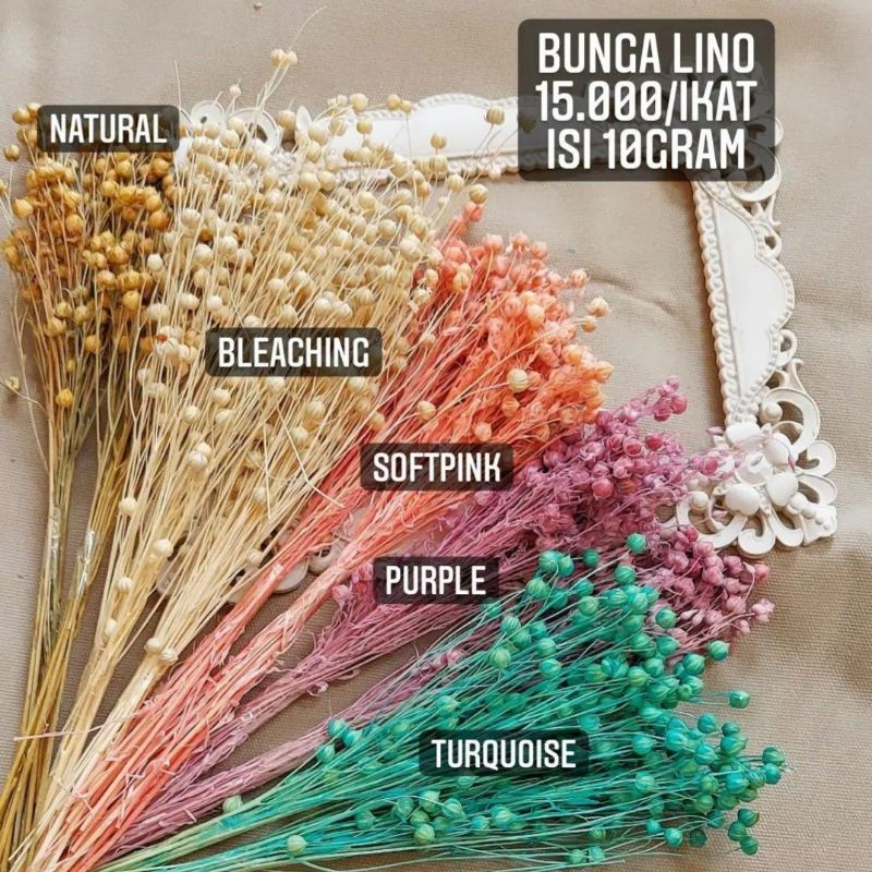 Jual bunga kering bunga lino bahan mahar rustic ring box | Shopee Indonesia