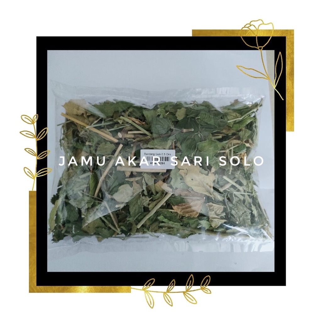 Jual Jamu Akar Sari - Daun Dandang Gula / Daun Gendis - mengatasi ...