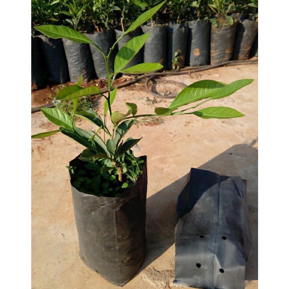 Jual Pot pembibitan plastik Polybag tanaman 35x35 paket 35pcs polibag ...