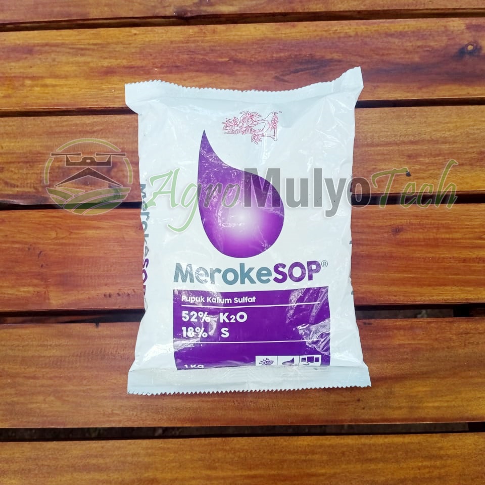 Jual Pupuk Meroke SOP Pupuk Kalium Sulfat Nutrisi Hidroponik 1 kg ...