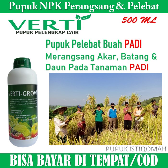 Jual Pupuk NPK Cair VERTI GROW 500 ML - Obat Pelebat Tanaman Padi - Obat Perangsang Tanaman Padi ...