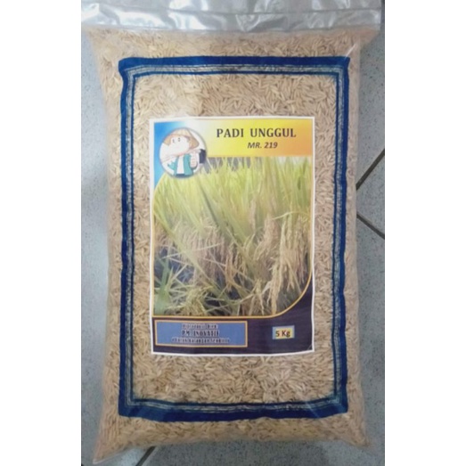 Jual Benih Padi mr219 KWALITAS SUPER PREMIUM kemasan 5KG | Shopee Indonesia