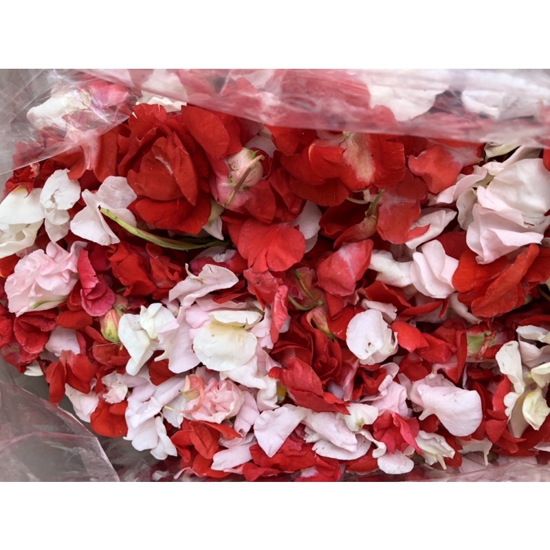 Jual Bunga Tabur Pihong Ziarah Nyekar Kuburan Karet Tanah Kusir San ...