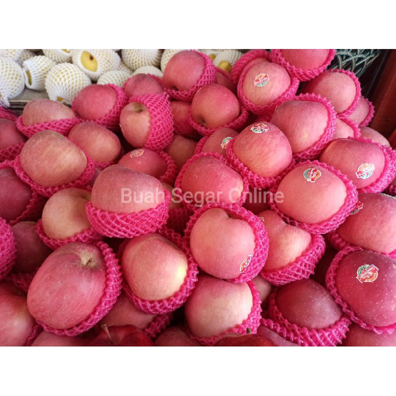 Jual Promo Buah Apel Fuji Murah Manis Segar | Shopee Indonesia