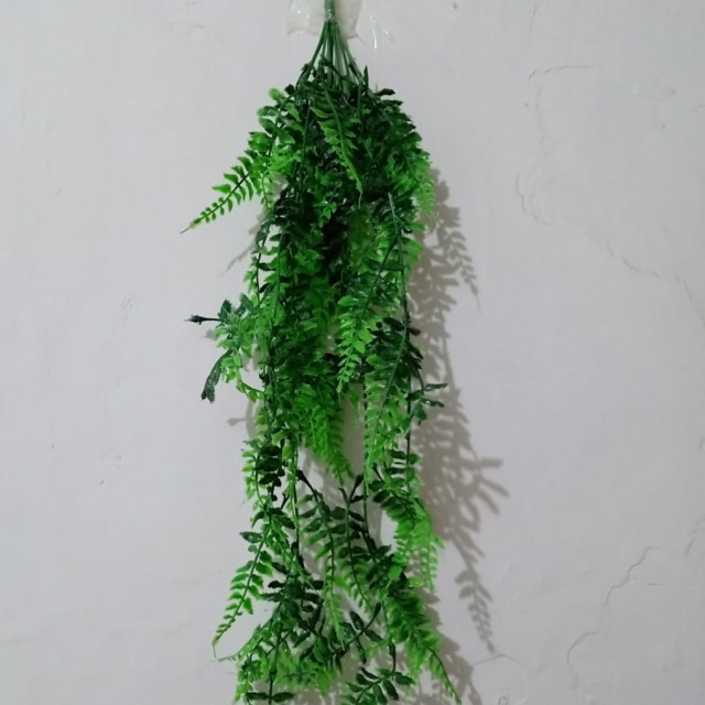 Jual Daun gantung, daun rambat, garland daun, daun anggur, pakis, ivy ...