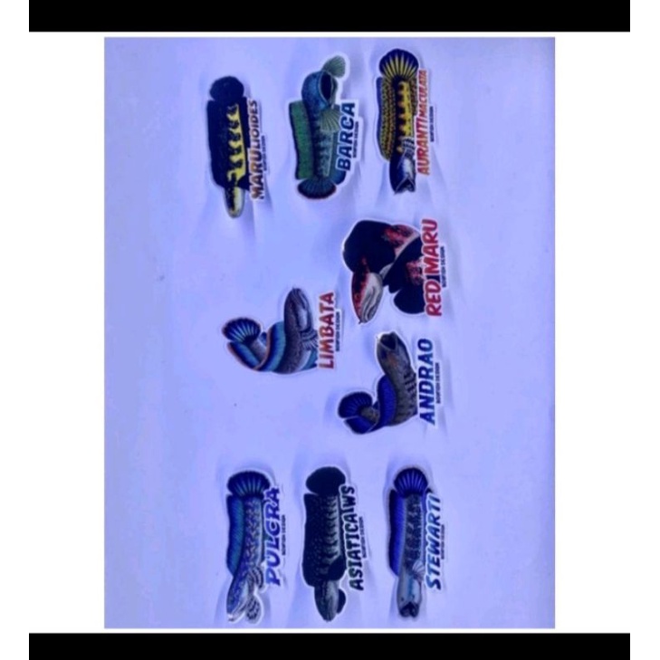 Jual STICER PACK PREMIUM TAHAN AIR LIMITED EDITION | Shopee Indonesia