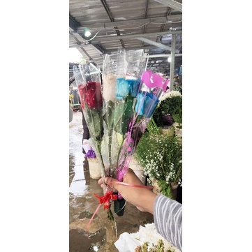 Jual bunga mawar segar/wangi /sudah di bungkus/untuk kado anniversary/1 ...