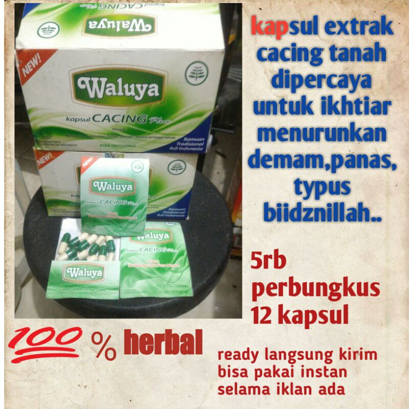 Jual Waluya/Kapsul cacing/obat tifus/obat panas | Shopee Indonesia