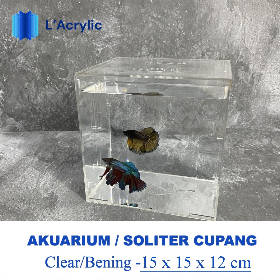 Jual AKUARIUM / AQUARIUM / SOLITER IKAN CUPANG 2 KAMAR 15 x 15 x12 ...
