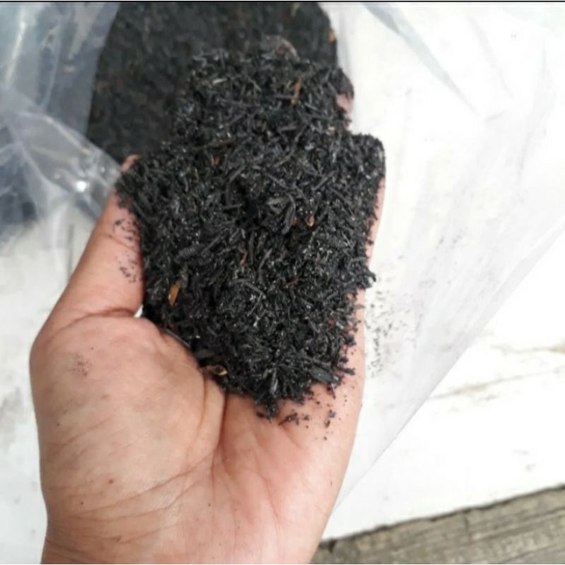 Jual sekam bakar 1 kg, media tanaman, media hydroponik, kaktus, bunga ...
