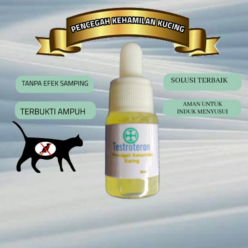 Jual Testroteron Kb kucing obat pencegah kehamilan tanpa steril persia ...