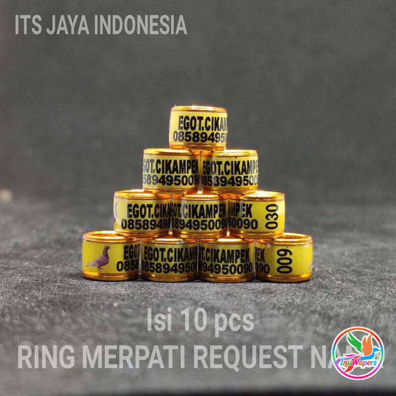 Jual RING MERPATI CUSTOM NAMA RING MERPATI REQUEST NAMA SENDIRI RING ...