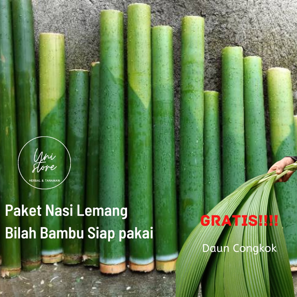 Jual Termurah Ruas Bambu Untuk Nasi Lemang / Leumeung / Bambu Lemang ...