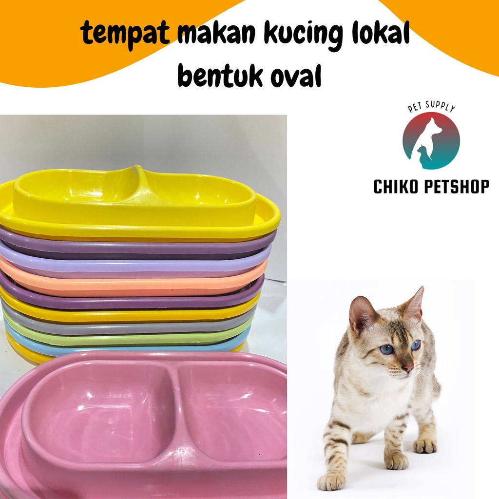 Jual TEMPAT MAKAN MINUM DOUBLE KUCING & ANJING - WARNA RANDOM | Shopee ...