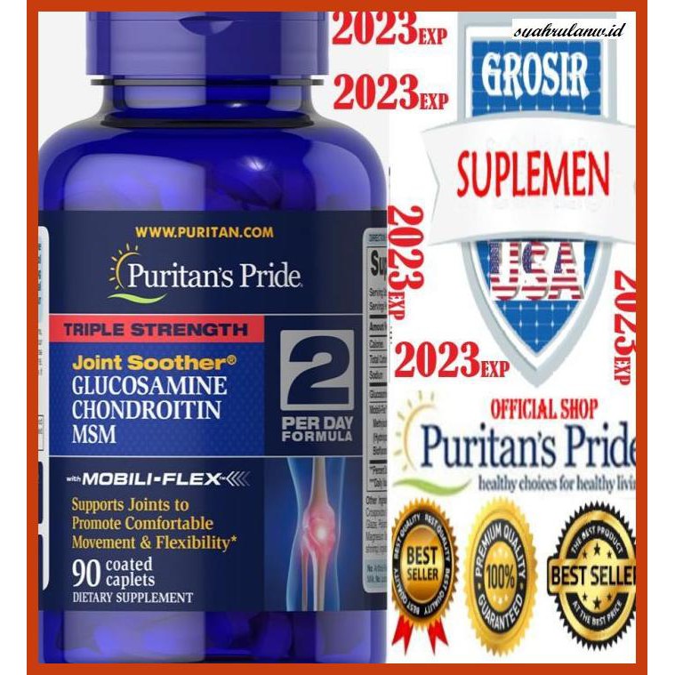 Jual ISIRTUN- PURITAN TRIPLE STRENGTH GLUCOSAMINE CHONDROITIN MSM 90CAP - XS -SADA56DGR ...